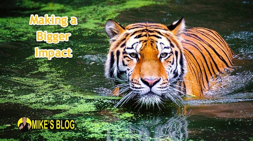 Making a Bigger Impact