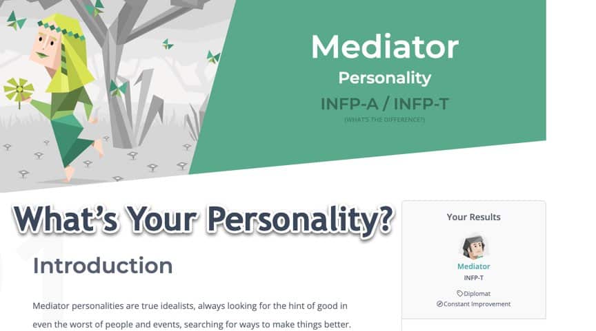 What Is Your Personality? (plus my test results)